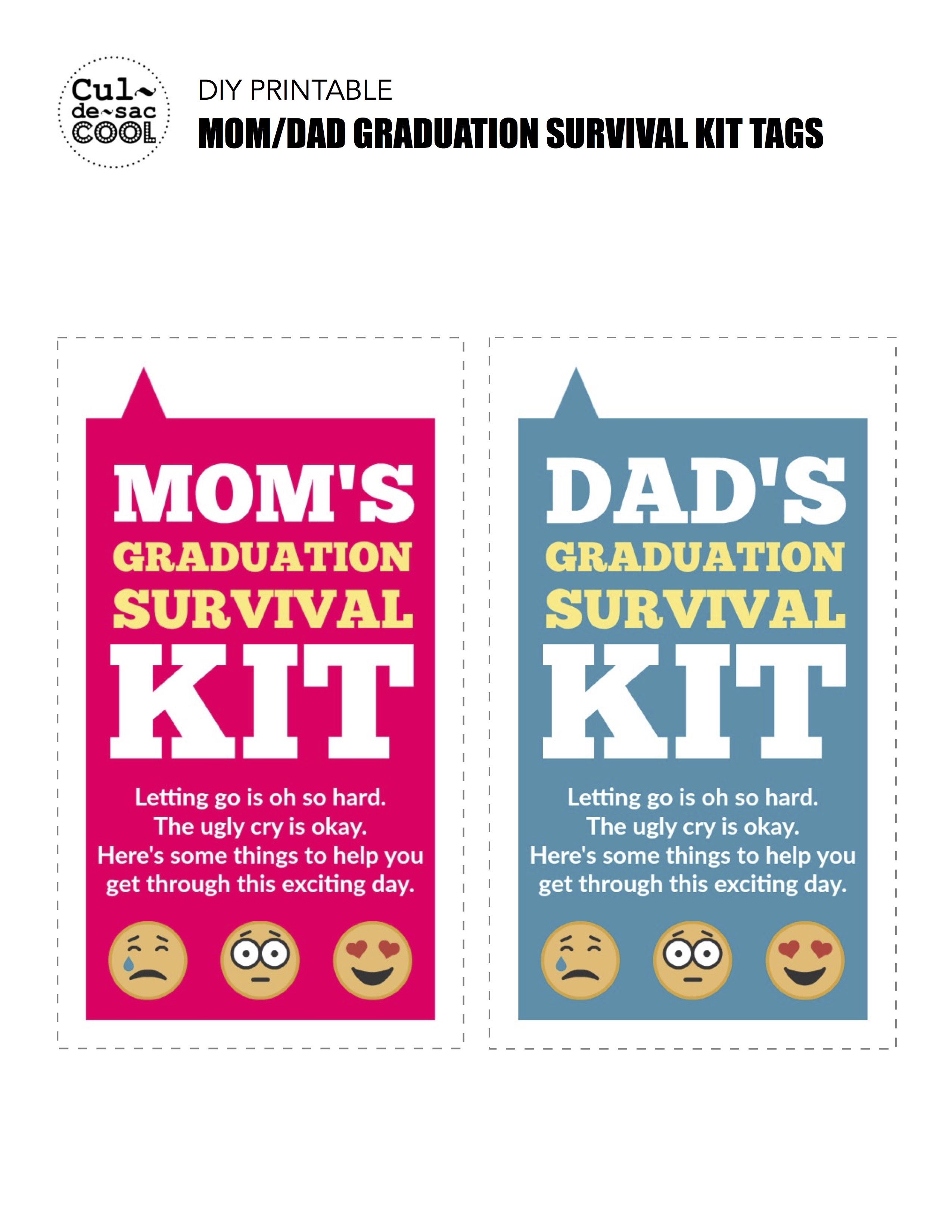 DIY Graduation Survival Kit for Parents